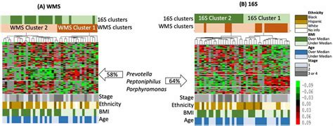 Unsupervised Hierarchical Clustering Of Samples In Terms Of Putative