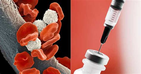 Cancer Treatment Breakthrough Scientists Have Found A Promising Cure