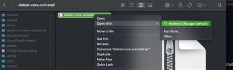 How To Use The Net Cli Clean Up Tools On Macos Msiccs Blog