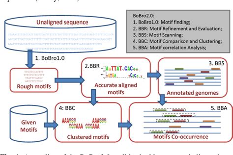 Figure 1 From An Integrated Toolkit For Accurate Prediction And Analysis Of Cis Regulatory
