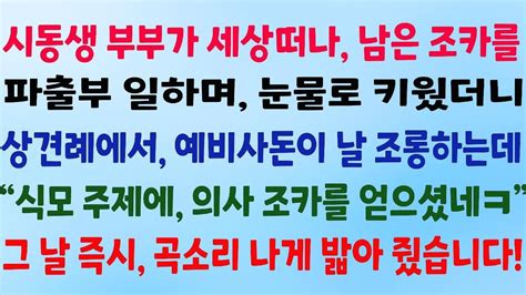 서방님 부부가 뜻밖에 세상을 떠나서 남은 조카를 가정부로 부리며 내 자식처럼 키웠는데 상견례에서 못된 예비 시아버지가 나를 조롱하더라 신청 사연 사이다 썰 사연