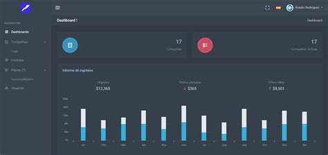 Laravel Multicompany System For Credit Management Professional Website Development Lehigh