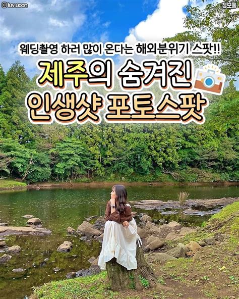 인스타 올리면 많이 물어보는 바로 거기😮 제주 인생샷 포토스팟 천미천 삼나무숲 🌴웨딩 스냅 사진 찍으러 많이 찾는 신비로운
