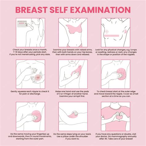유방 자가 검진 지시 유방암 월간 검사 인포그래픽 프리미엄 벡터