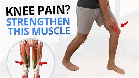 Quadriceps Tendonitis Exercise At Mary Eklund Blog