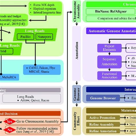 Recommended Flowchart For Genome Assembly And Annotation Ngs