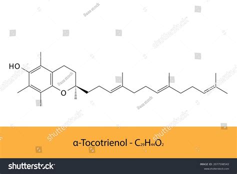 Alpha Tocotrienol Skeletal Structure Molecular Formula Stock Vector Royalty Free 2077598542