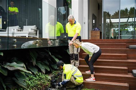 Identifying And Getting Rid Of Common Household Pests Pestoz