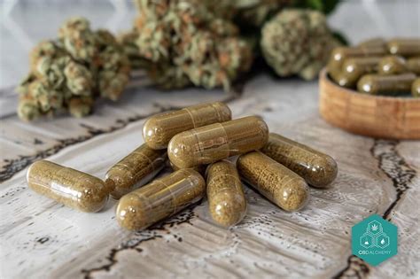 What Are Cbd Tablets Everything You Need To Know