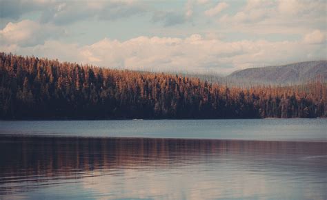 Travis Darnell Photography