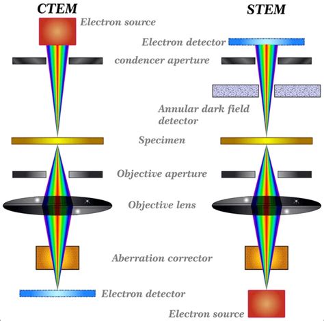 Bright Field Microscopy Images Over 7 Royalty Free Licensable Stock
