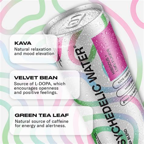 Hibiscus Lime 12 Pack