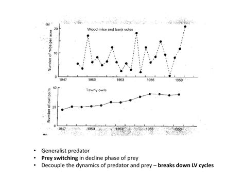 Many Decades Huge Area Spatially And Temporally Extensive Cycling