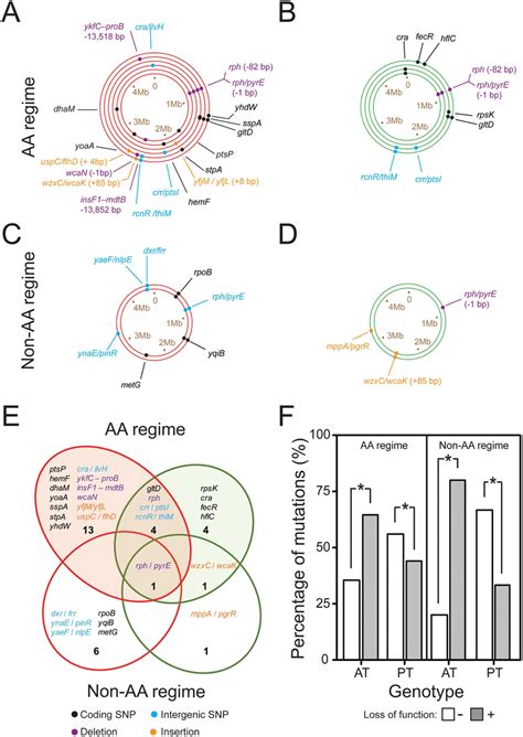 Genomic Consequences Of Adaptation To The Two Selection Regimes Download Scientific Diagram