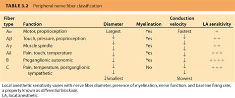 Local Anesthetics And Toxicity Anesthesia Key