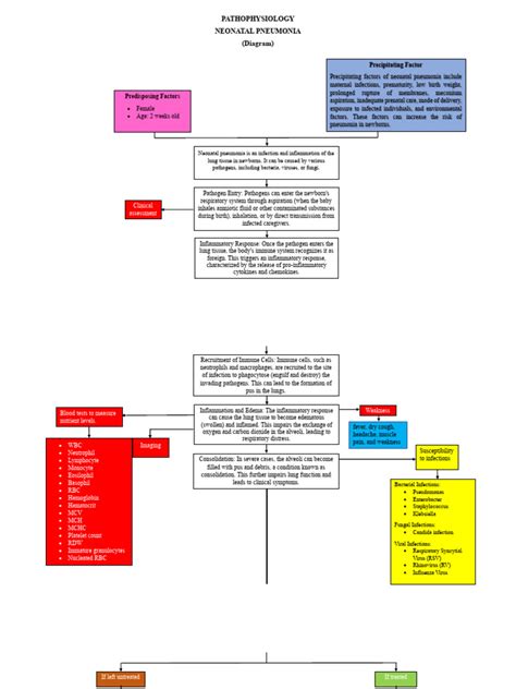Neonatal Pneumonia Pathophysiology Final Pdf Pneumonia Inflammation