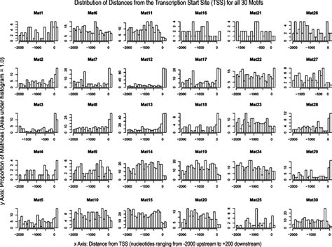 The Average Spatial Distribution Of All 30 Identified Motifs Relative Download Scientific