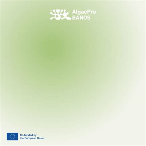 Collaborating Centre On Sustainable Consumption And Production Cscp On Linkedin Sustainable