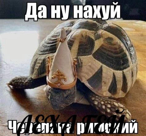 леха гей | ВКонтакте