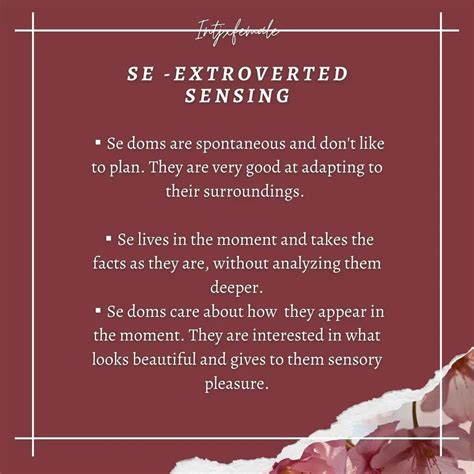 Se Cognitive Function Mbti Personality Myersbriggs Type Indicator