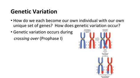 unit ppt download