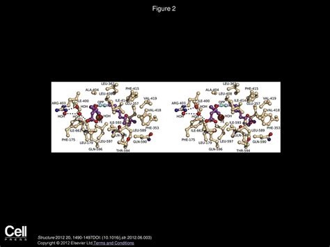 Crystal Structure Of 12 Lipoxygenase Catalytic Domain Inhibitor Complex Identifies A Substrate