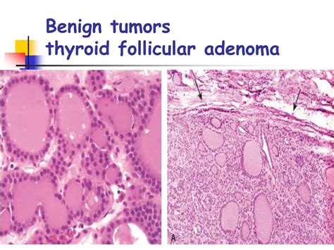 Ppt بسم الله الرحمن الرحيم Powerpoint Presentation Id 6841627