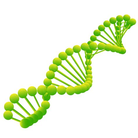 Green Dna Molecule 6512632 Vector Art At Vecteezy