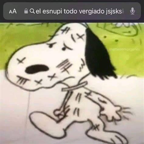 Pin De °• ᥴꪮꪶ •° En Esnupis Paradise 🦴 Imágenes Graciosas Imágenes Divertidas Imágenes