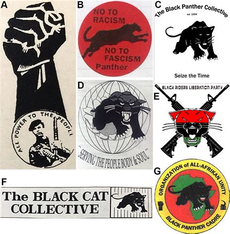 “there Is No New Black Panther Party” The Panther Like Formations And