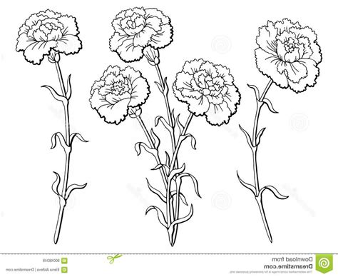 Flower Outline Vector At Vectorified Com Collection Of Flower Outline