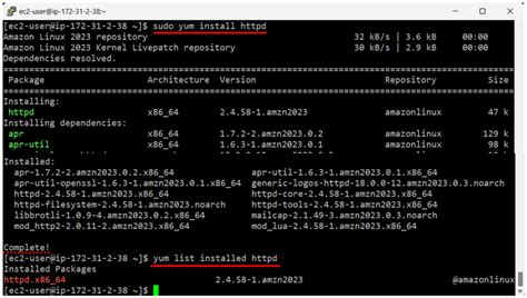Amazon Linux 서버에서 아파치 웹 서버 설치하는 방법