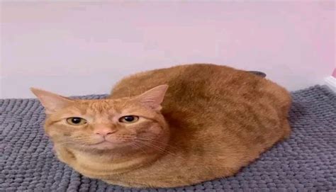 Wörgl🤔🤔🤔 Rwoergl