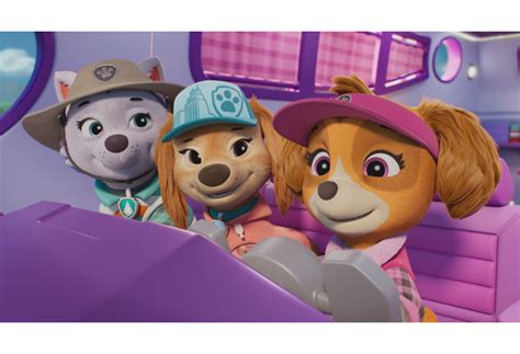 Paw Patrol La Pat Patrouille Special Sur La Route Avec Stella Tf1 Pro