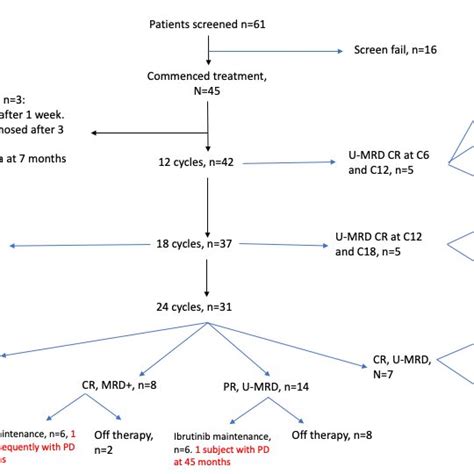 A The Domain Structure Of Variable Region Of Igh With Areas Marked