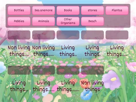Find And Classify In Groups Match Up