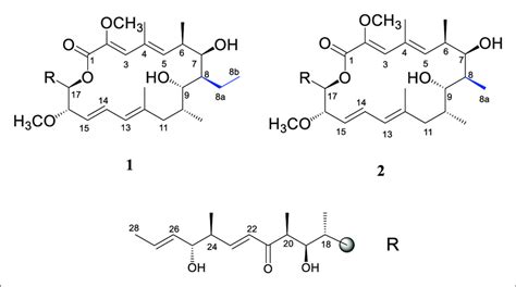 Structures Of Compounds 1 And 2 Download Scientific Diagram