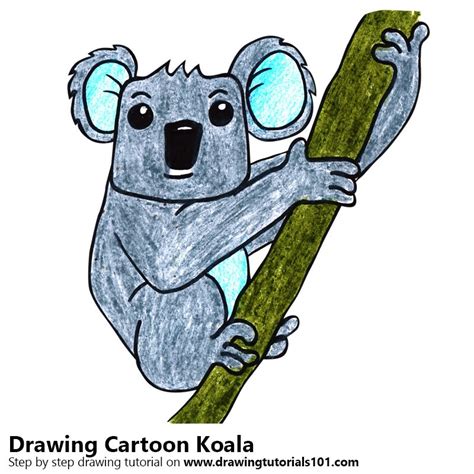 How To Draw A Cartoon Koala Cartoon Animals Step By Step