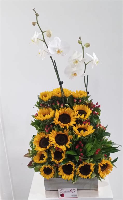 Arreglo Con Girasol Y Orquídeas Floristeria Corazon