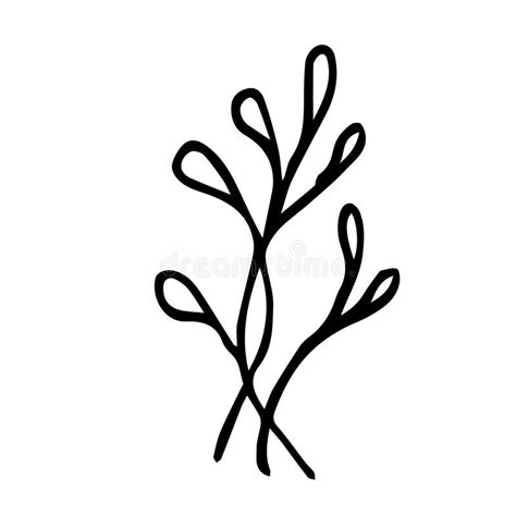 Vector Illustration Of An Abstract Plant With Small Leaves Stock Vector Illustration Of