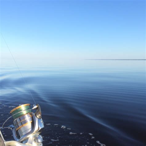 Elevation Of Sw Ave Steinhatchee Fl Usa Topographic Map Altitude Map