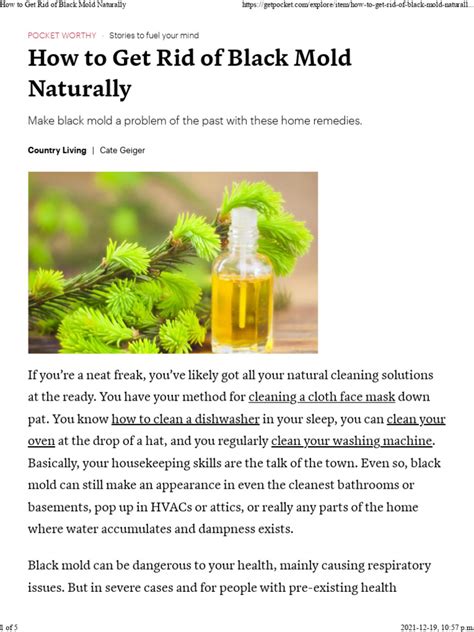 How To Get Rid Of Black Mold Naturally Pdf Mold Sodium Bicarbonate