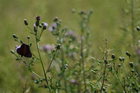 10 Io Controller Foto Stok Potret And Gambar Bebas Royalti Istock