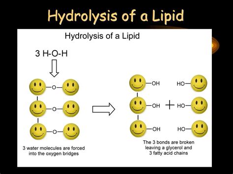 Ppt Biochemistry Powerpoint Presentation Free Download Id143913