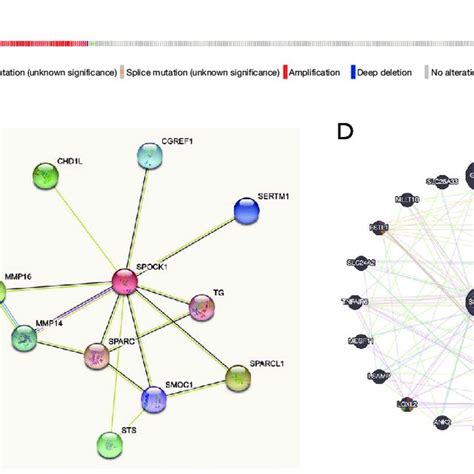 Gene Mutation And Expression Analysis Of Spock1 In Ccrcc Patients