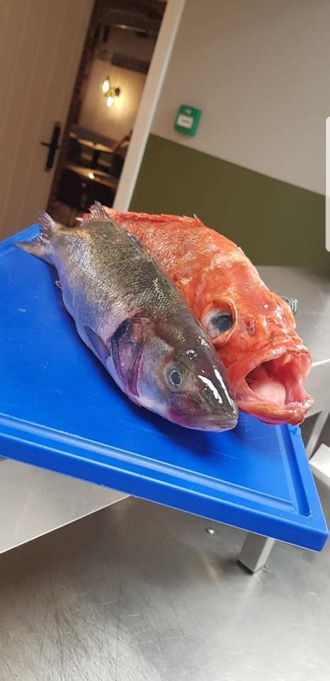 Fnidsen Onze Visboer Jan Veerman Heeft Prachtige Vissen