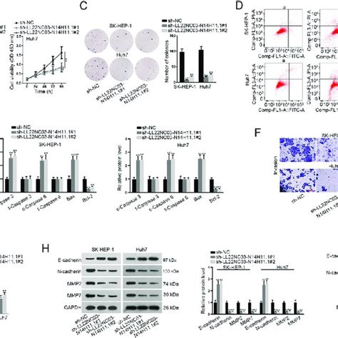 The 34 Most Frequent Cis Elements In The Myb Promoters The Color Scale Download Scientific