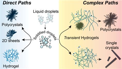 Rg11 Dynamic Materials And Self Assembling Systems Inam