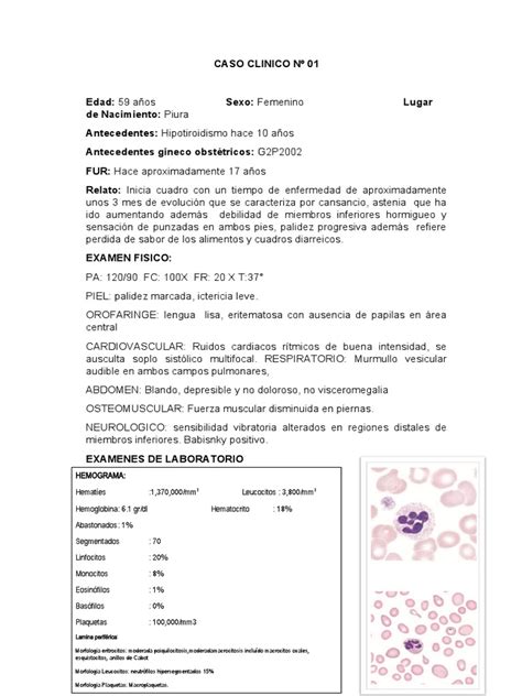 Soplo Sistolico Multifocal En G2p2002 Pdf Tejido Biología