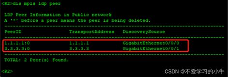 网络精通 mpls mpls lsp表里面的标签怎么看 csdn博客